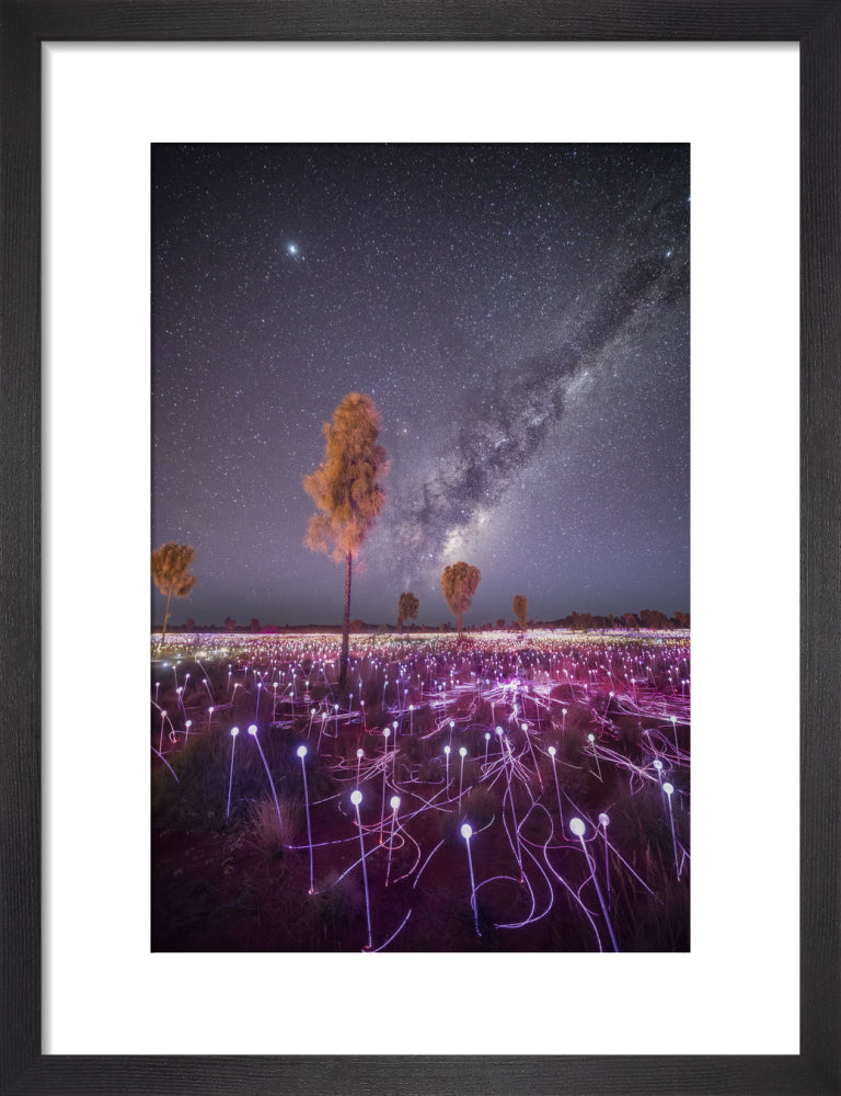 Desert Light – Royal Museums Greenwich Shop